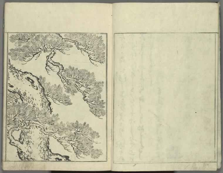 Ehon tokiwagusa = Eternal Flowers, A Picture Book. – NYPL Print Store